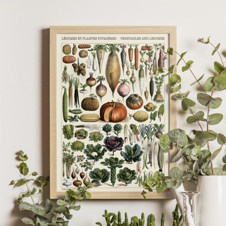 Vegetables and Legumes Art Print, Adolphe Millot Painting, Vintage ...