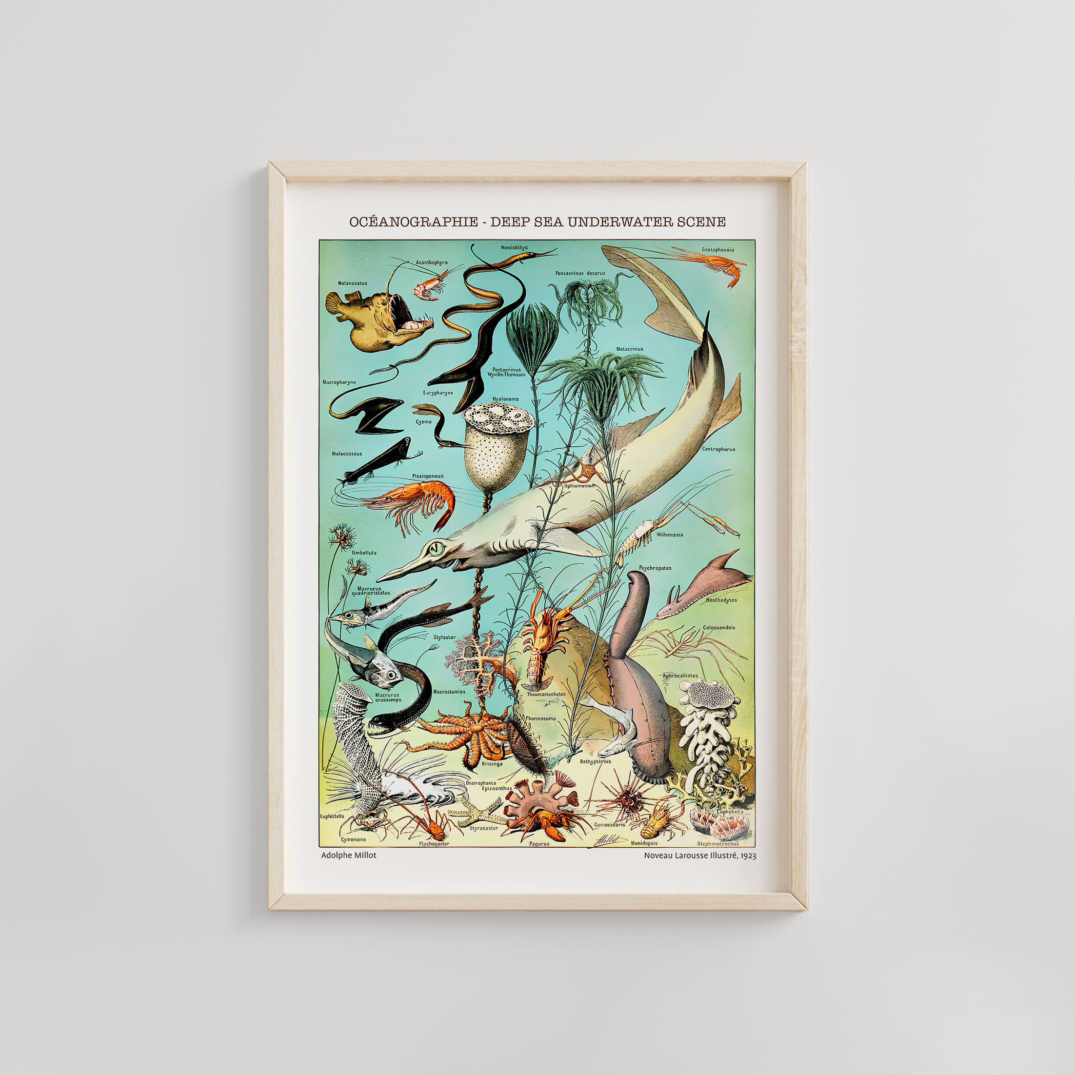 Deep Sea Underwater Scene Art Print, Adolphe Millot 1923, Marine Life ...