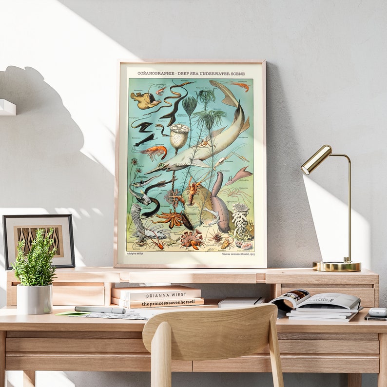 Deep Sea Underwater Scene Art Print, Adolphe Millot 1923, Marine Life ...