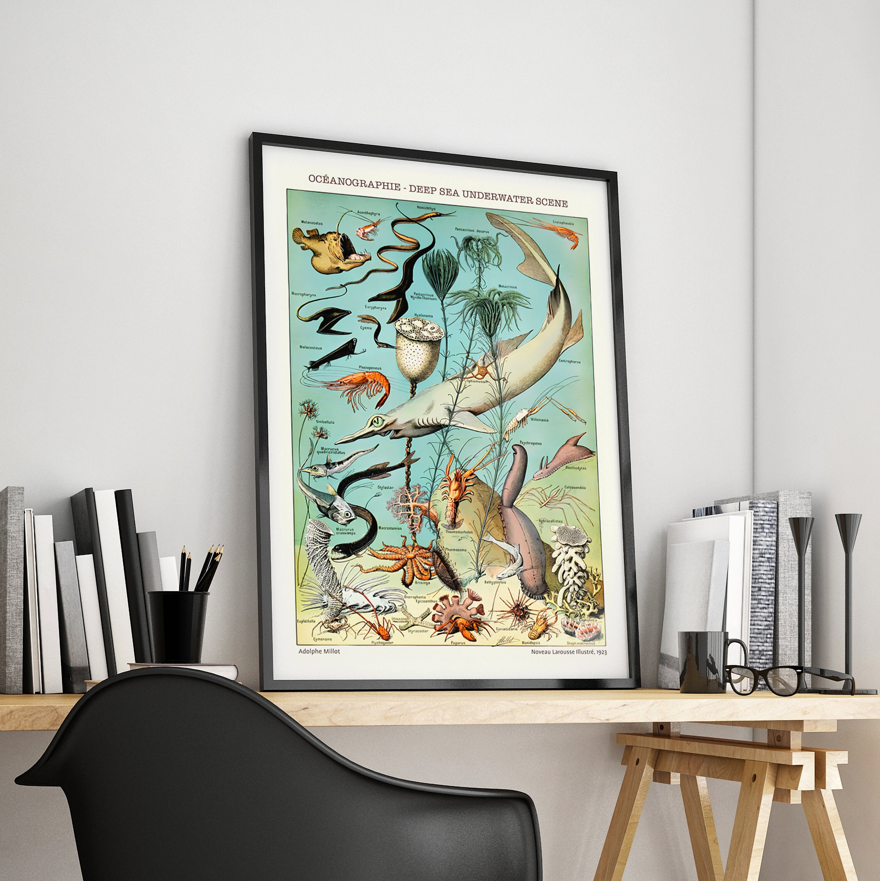 Deep Sea Underwater Scene Art Print, Adolphe Millot 1923, Marine Life ...