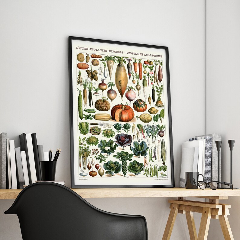 Vegetables and Legumes Art Print, Adolphe Millot Painting, Vintage ...