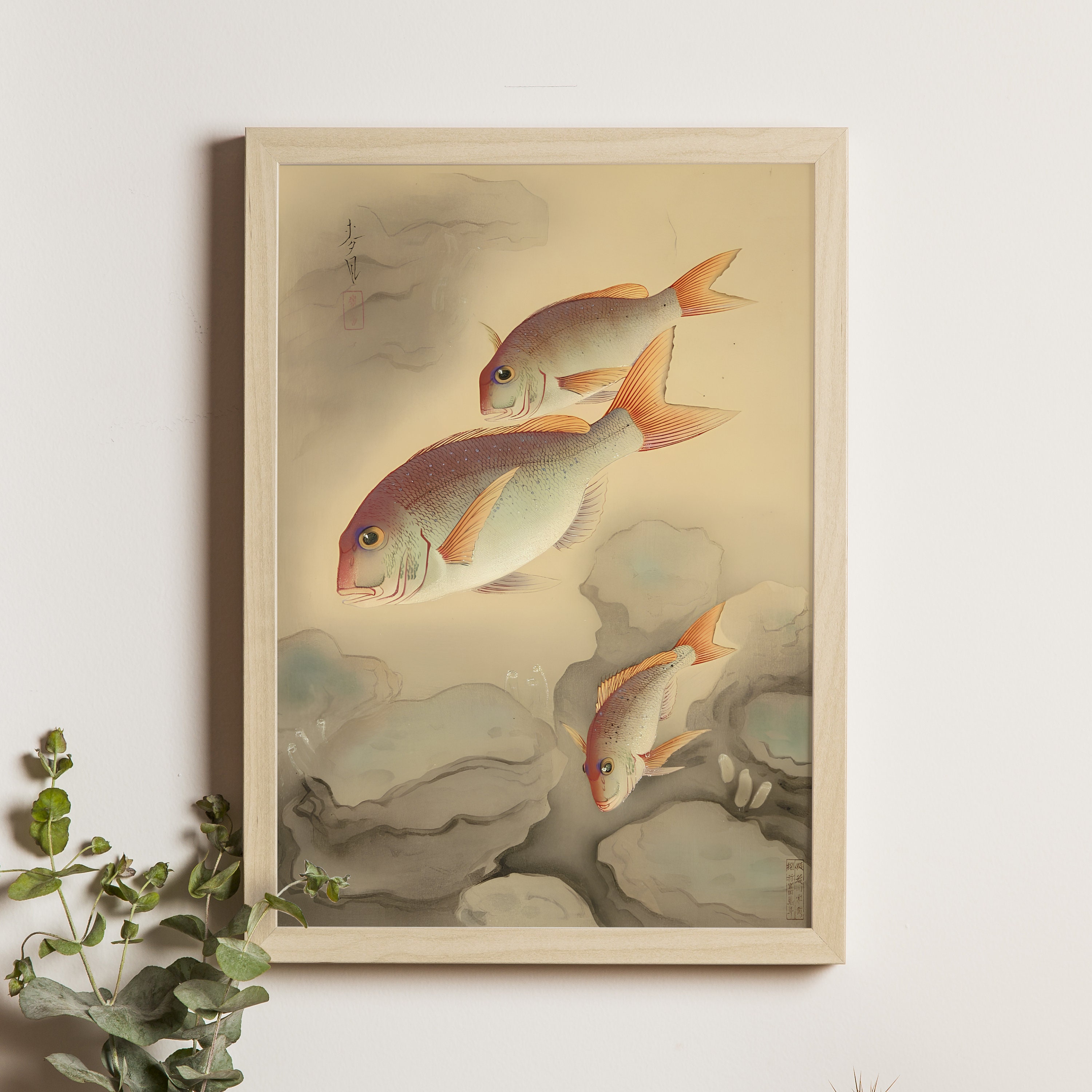 Sea Bream Kurodai by Ohno Bakufu, 1937 Japanese Fish Art Print, Ukiyo-e ...