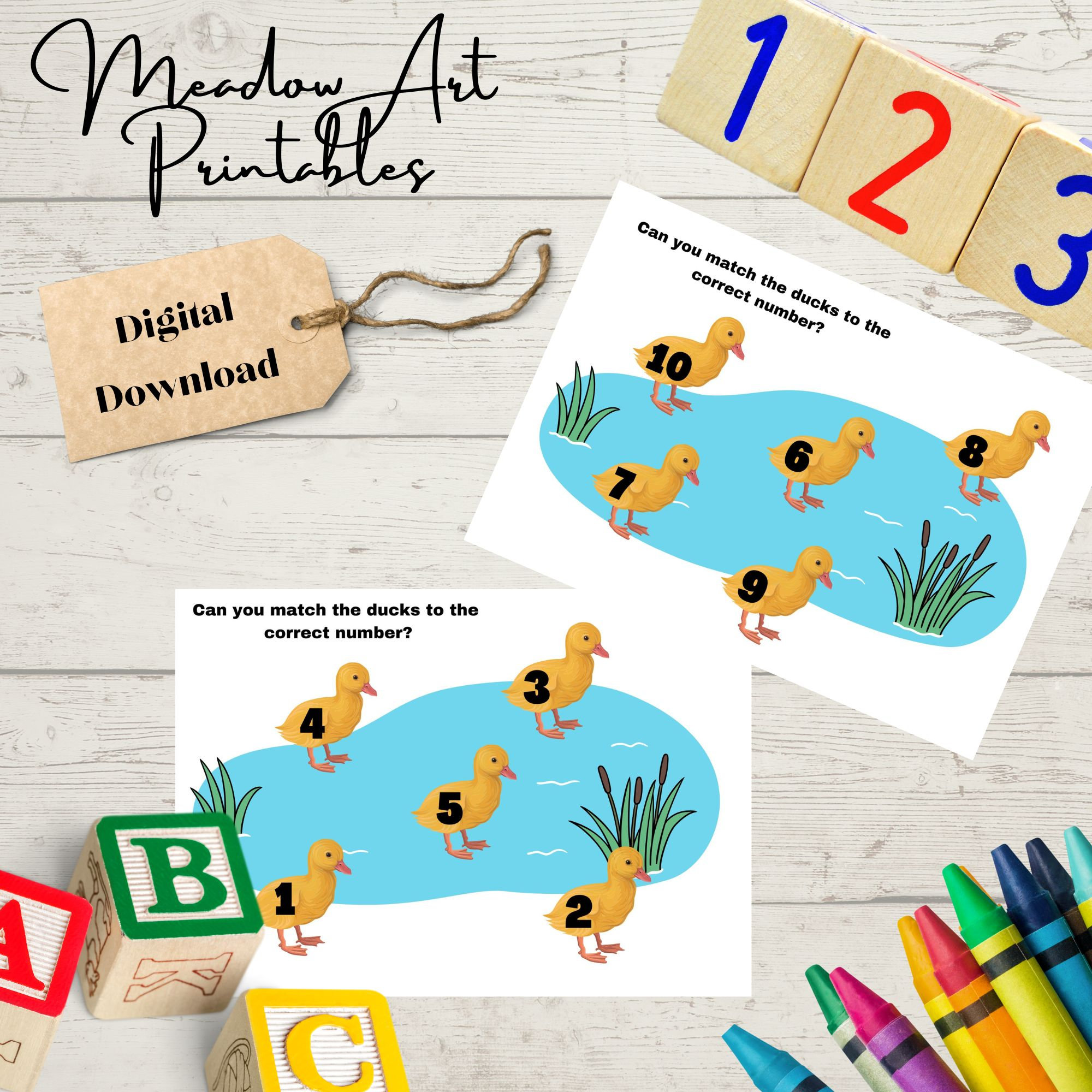 5 Little Ducks Home School Pack/ 5 Little Ducks/ Printable - Etsy