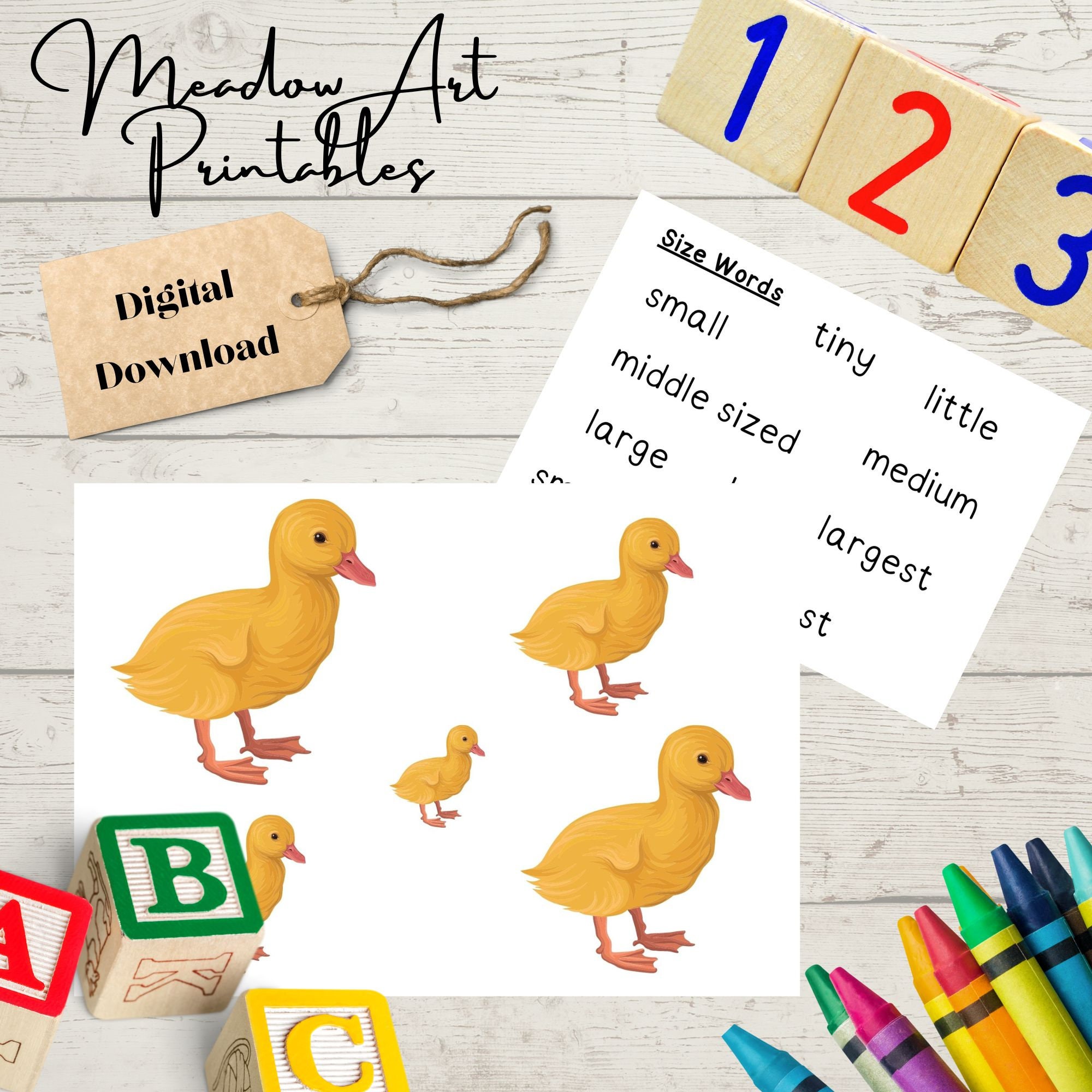 5 Little Ducks Home School Pack/ 5 Little Ducks/ Printable - Etsy