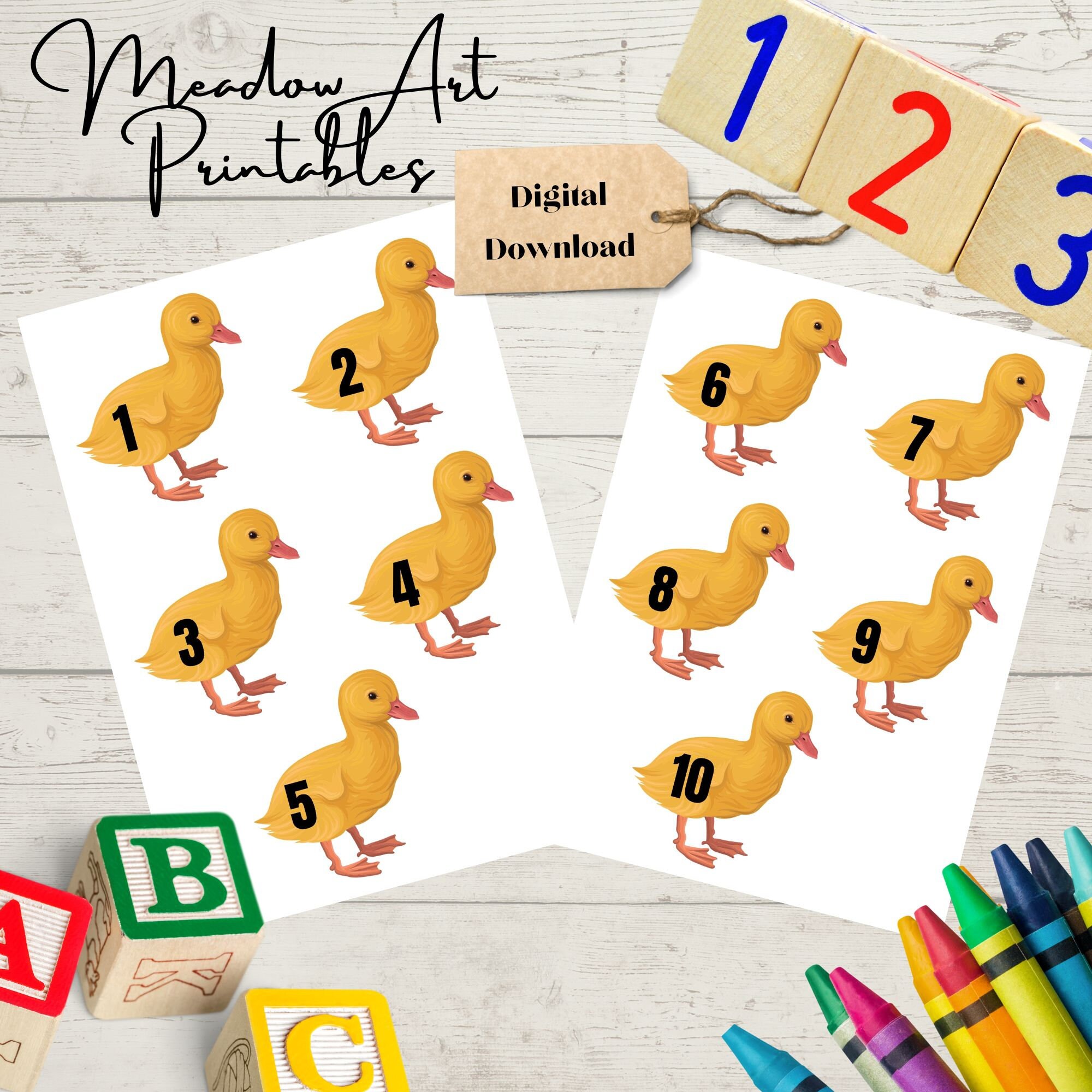 5 Little Ducks Printable: Math & Writing Homeschool Pack (PDF) - Etsy