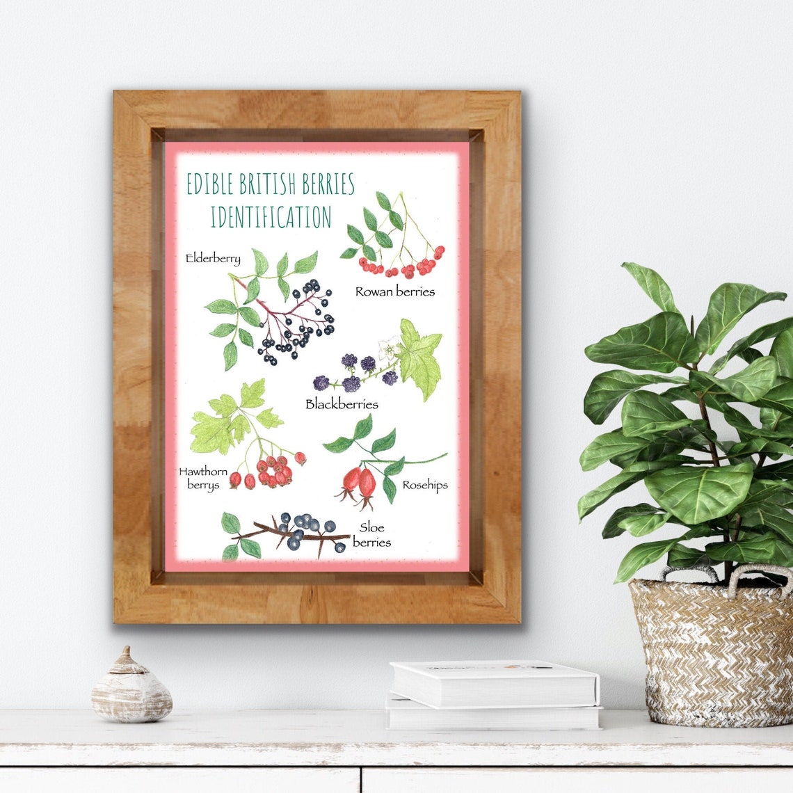 Printable Edible Berries Identification Pdf, Printable Nature Resource ...