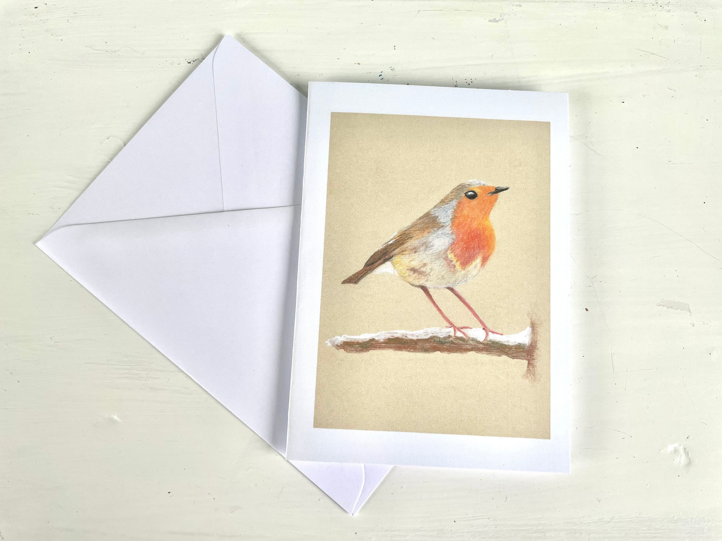 Robin Greetings Card, Blank Inside, Donation to British Wildlife Trust ...