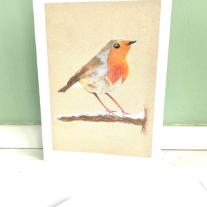 Robin Greetings Card, Blank Inside, Donation to British Wildlife Trust ...