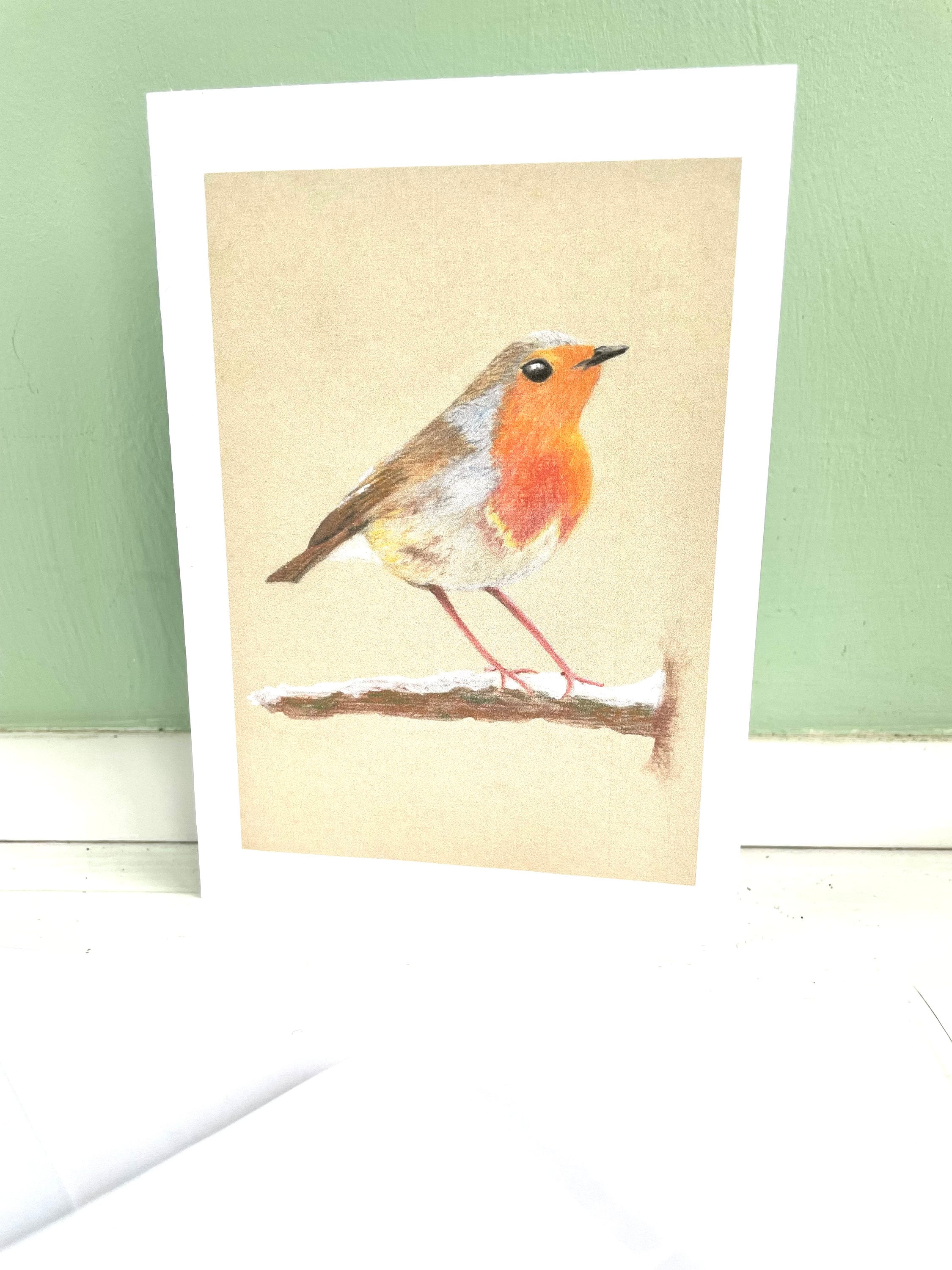 Robin Greetings Card, Blank Inside, Donation to British Wildlife Trust ...