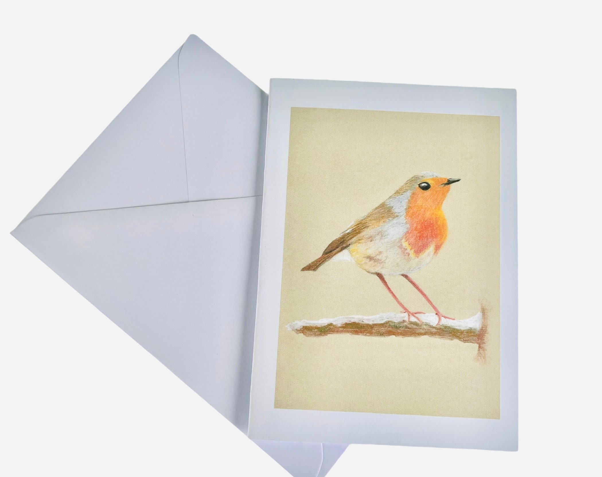 Robin Greetings Card, Blank Inside, Donation to British Wildlife Trust ...