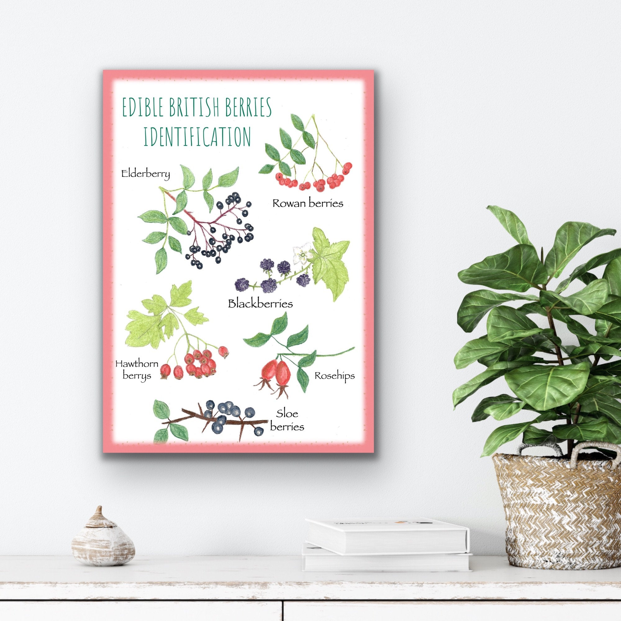 Printable Edible Berries Identification Pdf, Printable Nature Resource ...