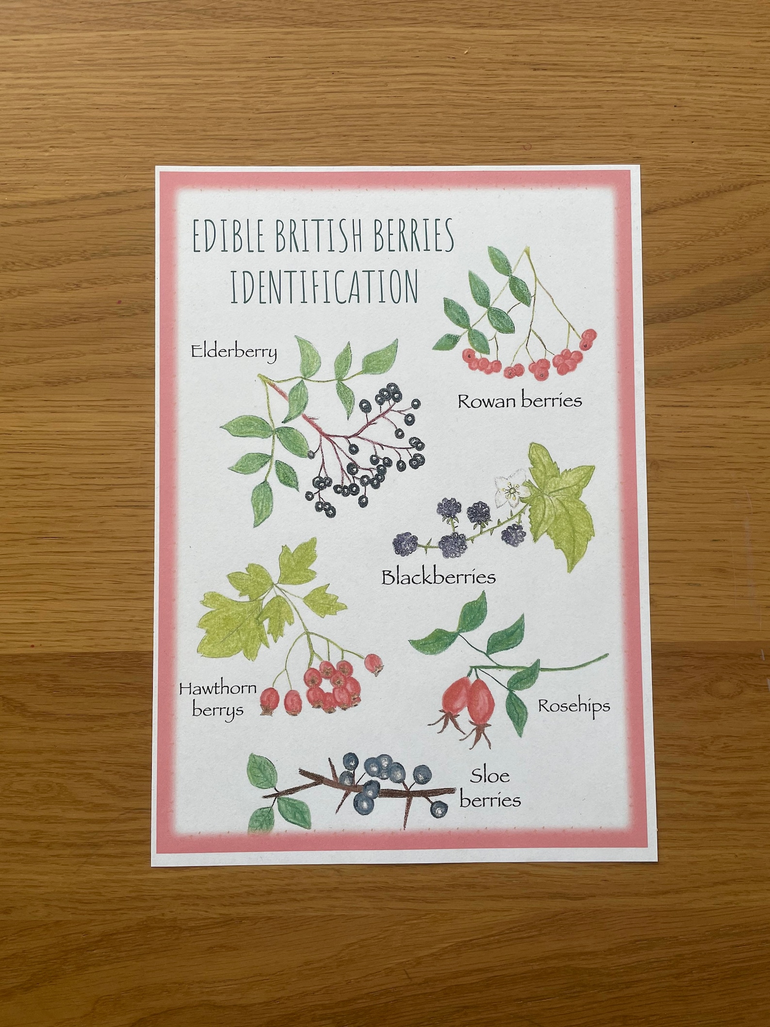 Printable Edible Berries Identification Pdf Printable Nature - Etsy ...