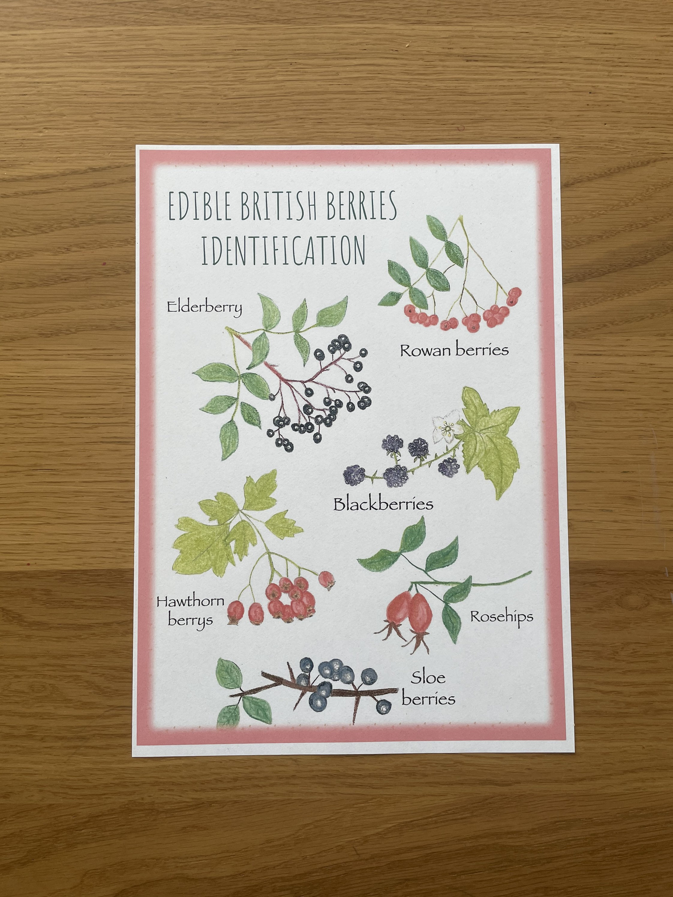 Printable Edible Berries Identification Pdf, Printable Nature Resource ...