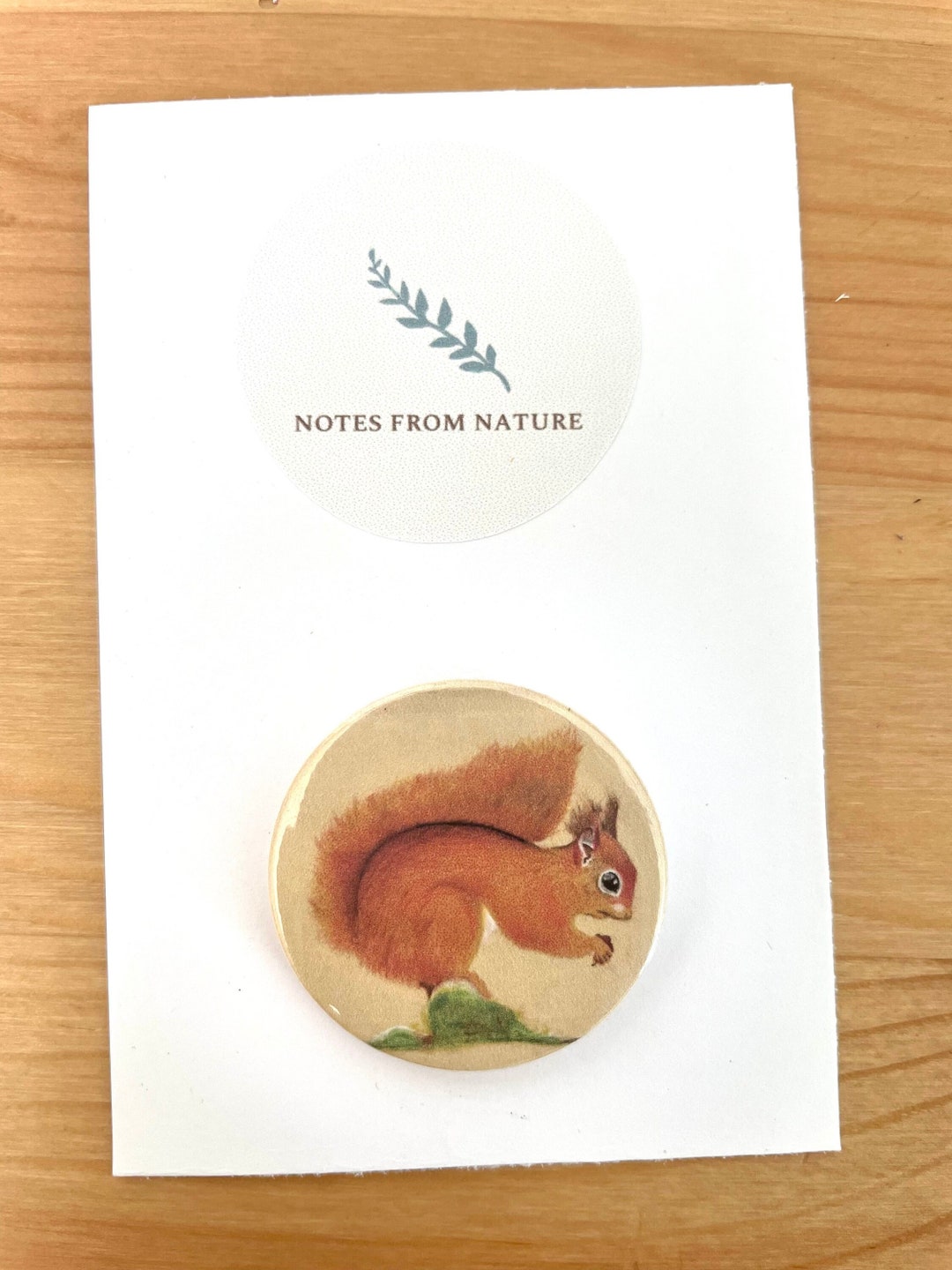 Red Squirrel Pin Badge. British Wildlife Collectors Button Badge, 3.8cm ...