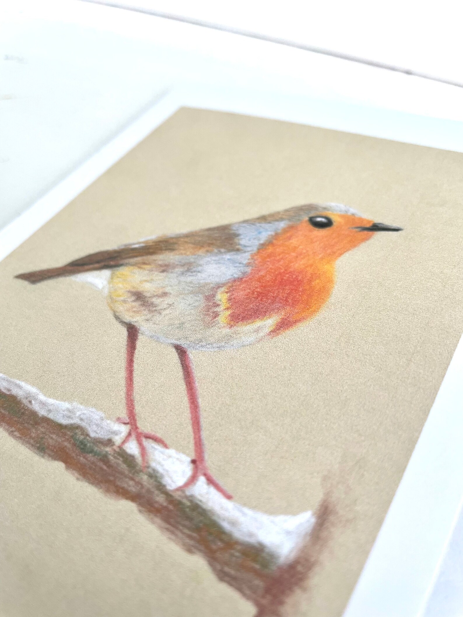Robin Greetings Card, Blank Inside, Donation to British Wildlife Trust ...