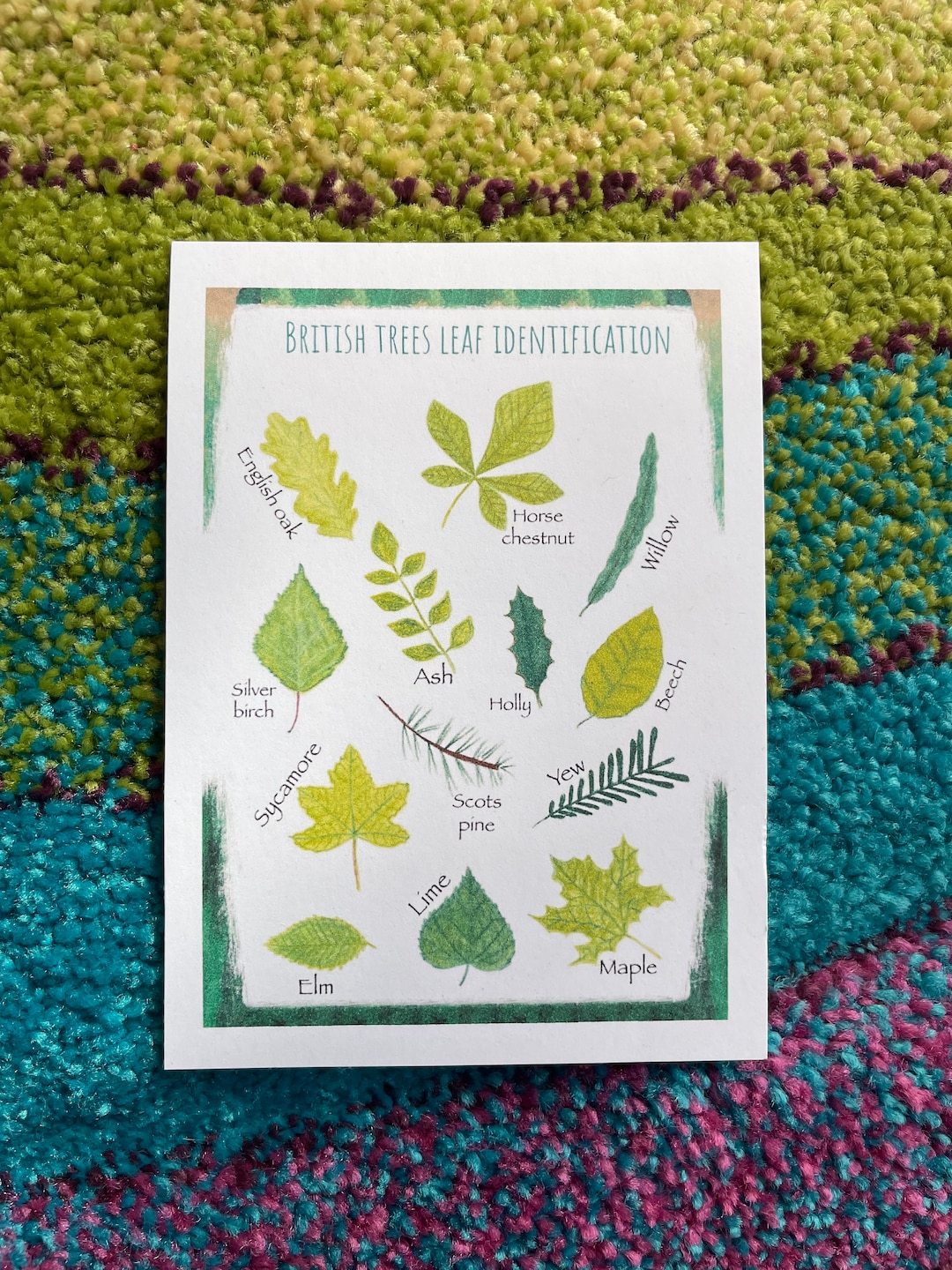 British Tree Leaf Identification A6 Postcard Size Print - Nature ...