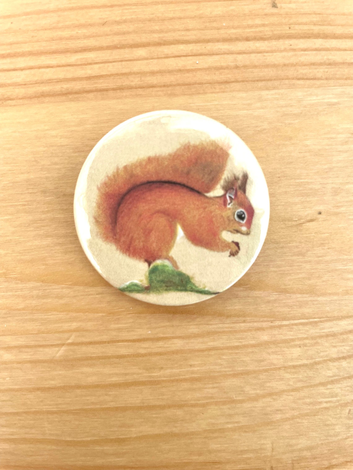 Red Squirrel Pin Badge. British Wildlife Collectors Button Badge, 3.8cm ...
