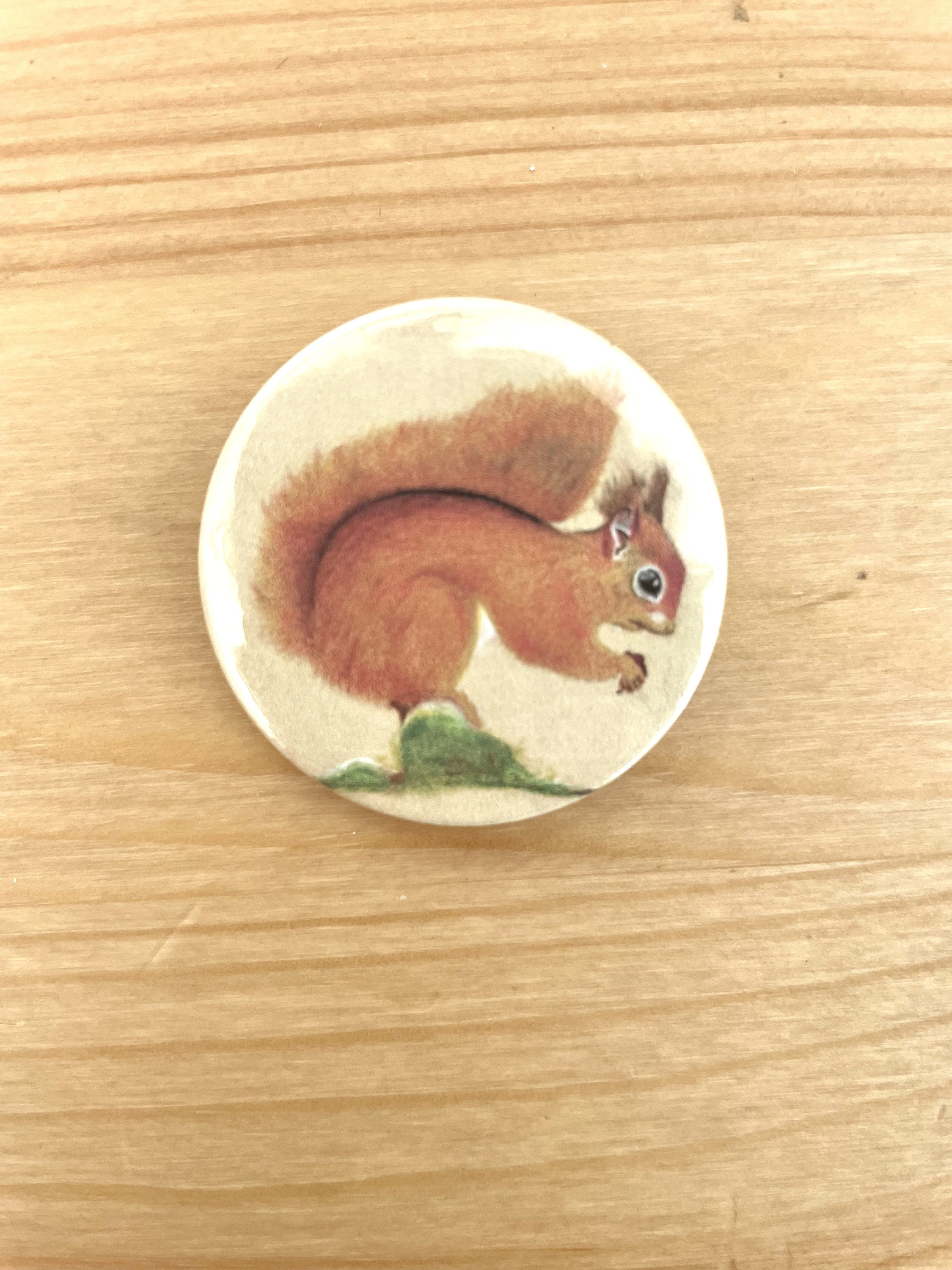 Red Squirrel Pin Badge, British Wildlife Collectors Button (3.8cm ...