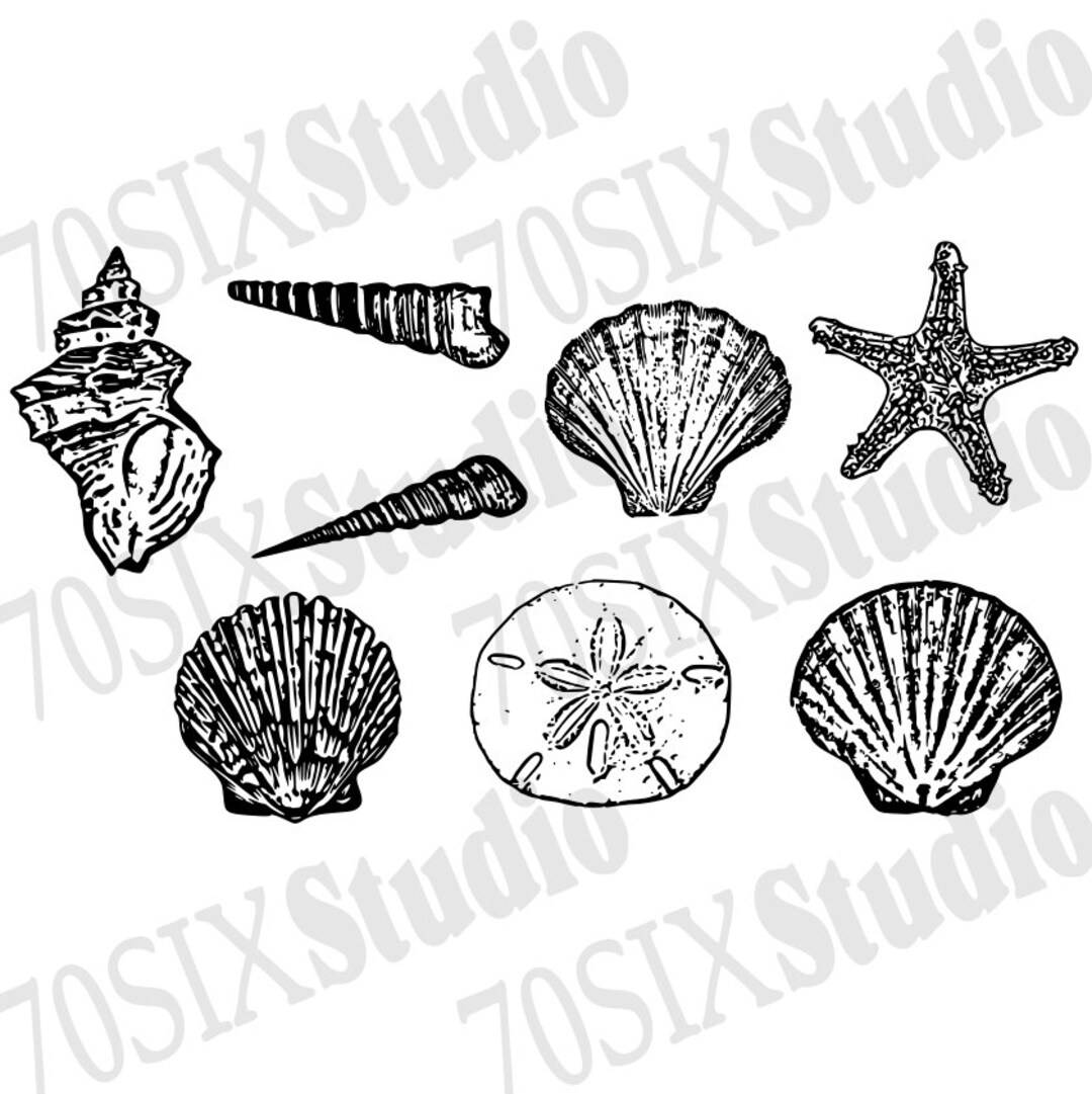 Seashell Collection Digital Download File for Art or Sticker Project - Etsy
