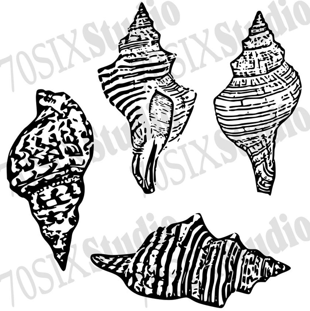Seashell SVG PNG Digital Download File - Etsy