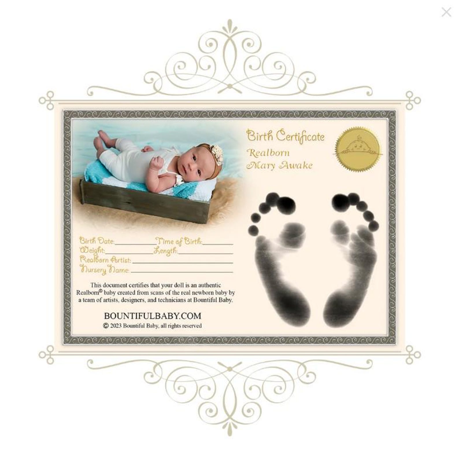 Mary Awake Authentic Realborn 20" Reborn Doll Kit/coa by Bountiful Baby ...