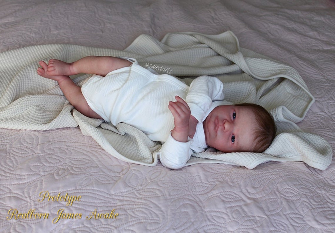 James Awake realborn 18 Reborn Vinyl Doll Kit/coa - Etsy