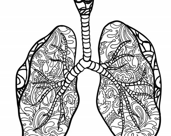 Larynx Coloring Page - Etsy Canada