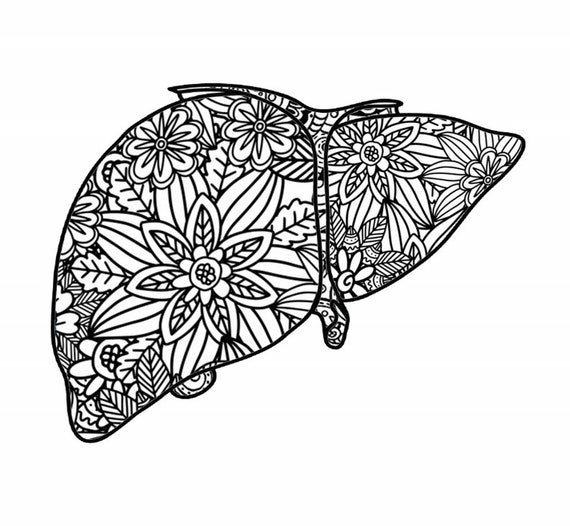 Liver Coloring Page