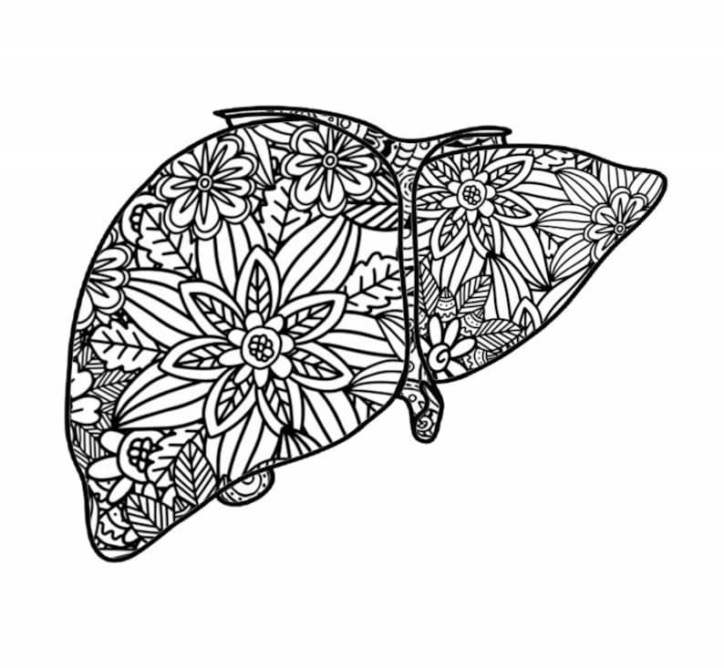 Zentangle Liver PDF Coloring Page - Etsy