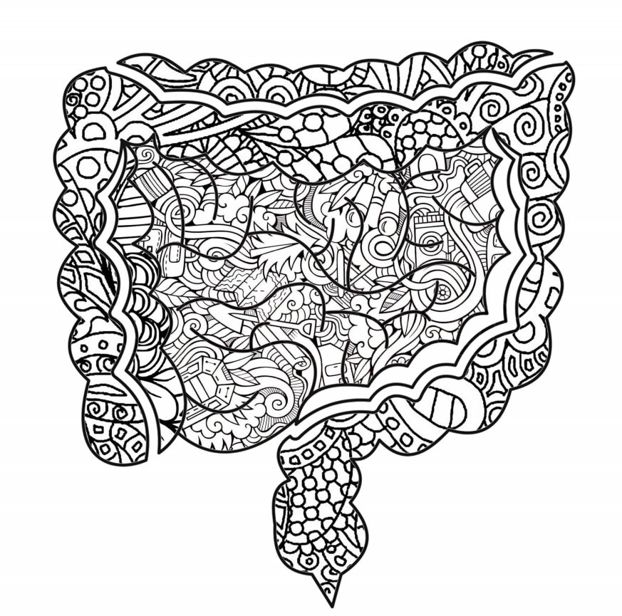 Zentangle Intestines PDF Coloring Page - Etsy