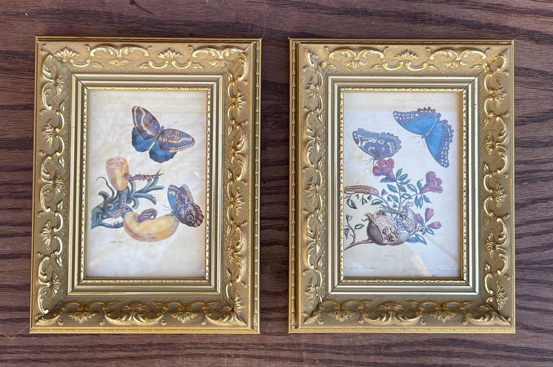BOTANICAL Framed Wall Art, MCM Nature Butterfly Gold Framed Decor ...