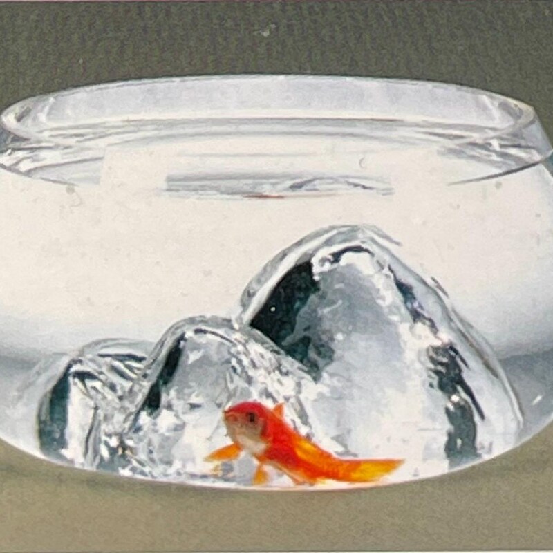 Fish Bowl - Etsy