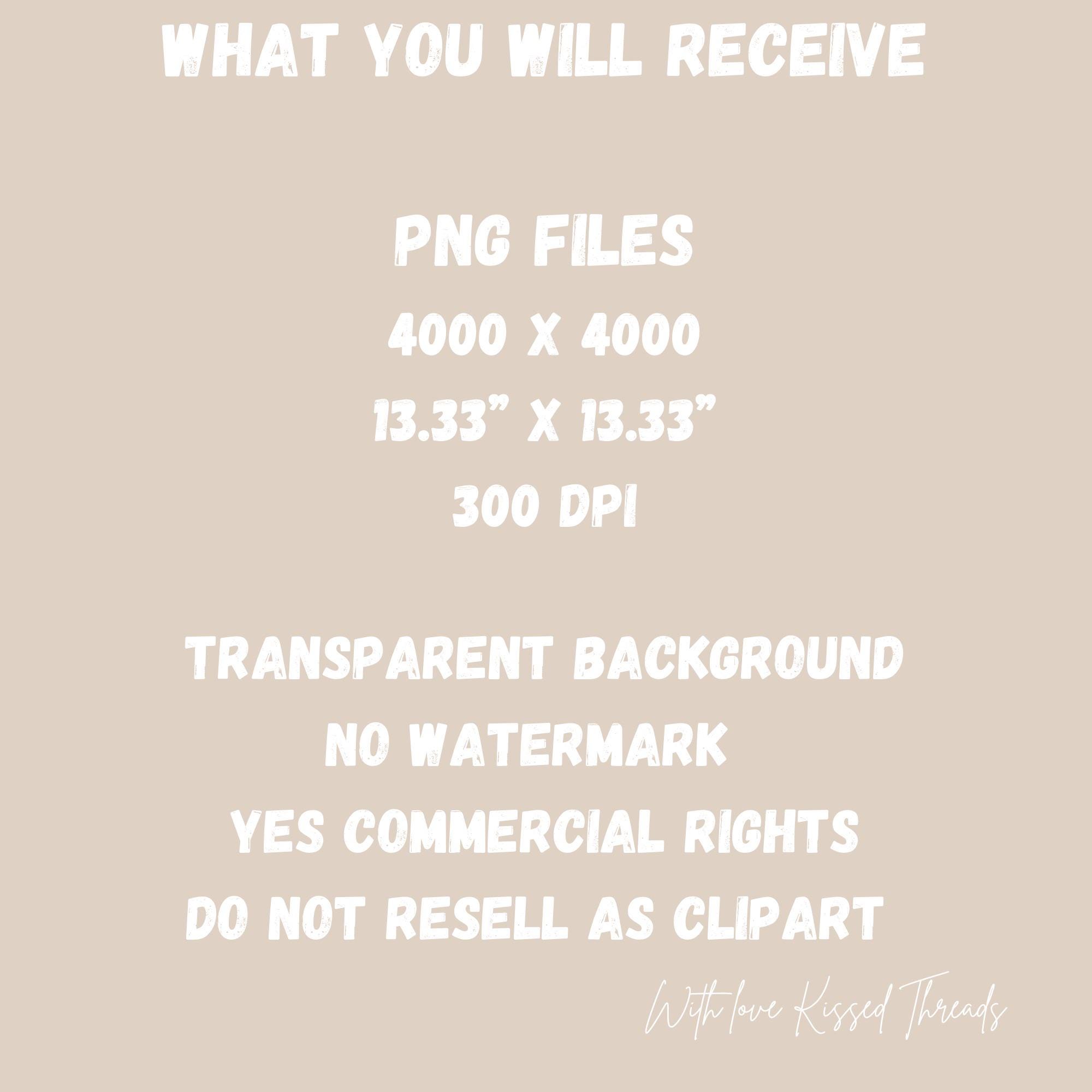 Bumblebees, Clipart Bundle, Cute Bees Clipart Bundle, Cute Bees Png ...