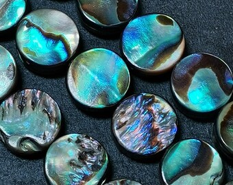 Flat Round Shell - Etsy