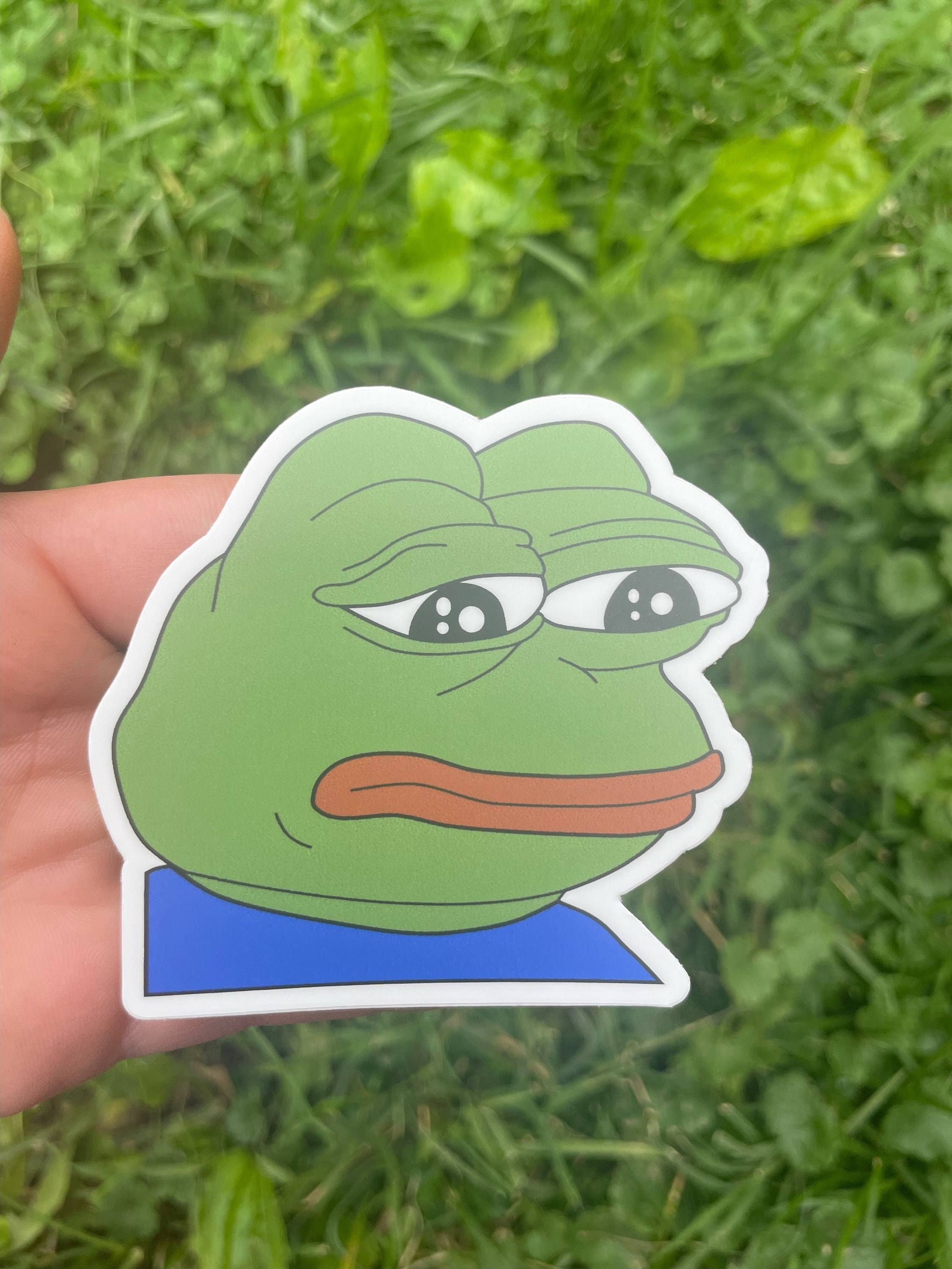 Sad Pepe Sticker Funny Frog Stickers Laptop Stickers Aesthetic Stickers ...