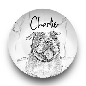 Custom Dog Plate, Personalized Pet Plate, Cat Portrait Plate, Cat Gift ...