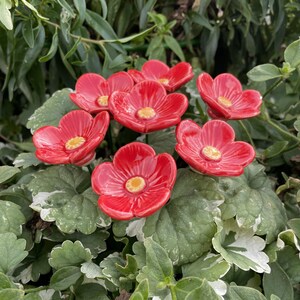 Ceramic Flower/plum Blossoms,plant Stake, Fairy Garden Accessories ...