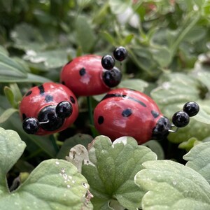 Ceramic Ladybird,plant Stake, Fairy Garden Accessories, Garden Decor ...