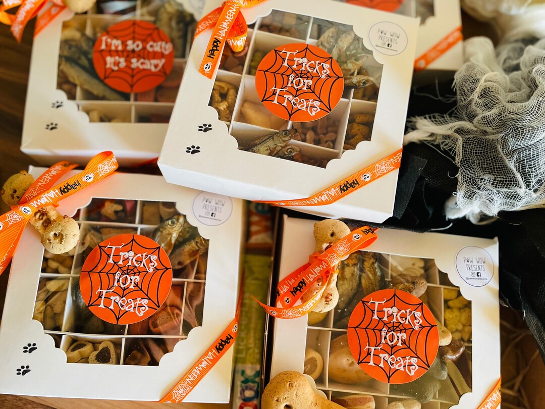 Pre-order Halloween Dog Treat Box | Halloween Cat Treat Box | Halloween ...