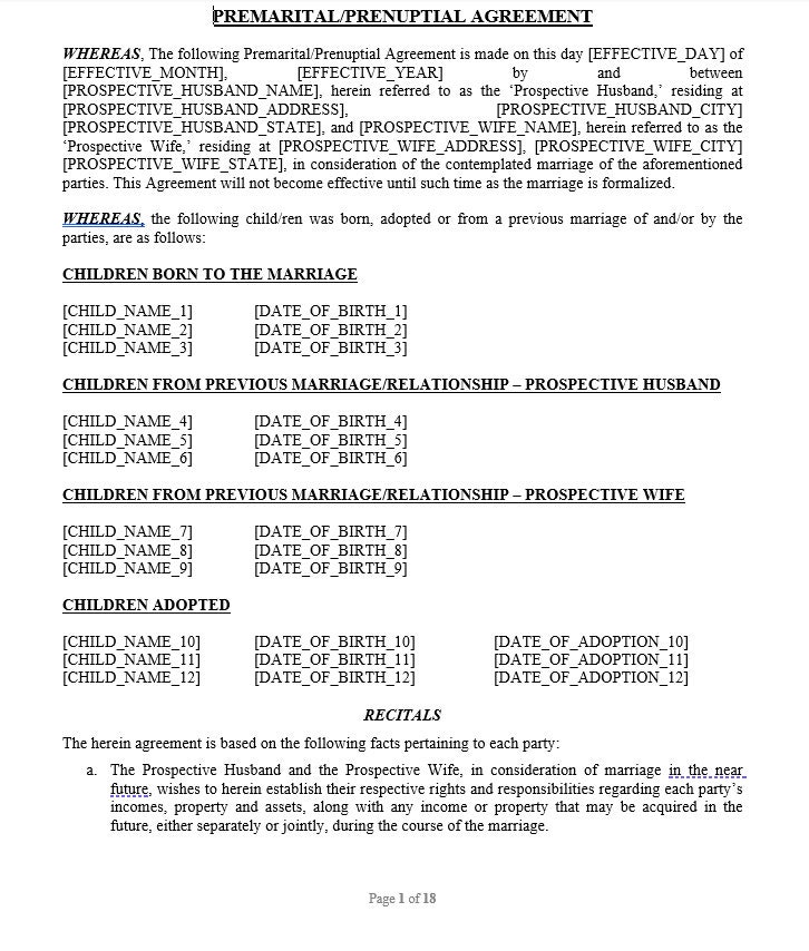 Prenuptial Agreement PRINTABLE File Detailed Pre-marital Prenup ...