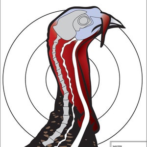 Printable Turkey Targets for Perfect Archery and Shotgun Practice ...