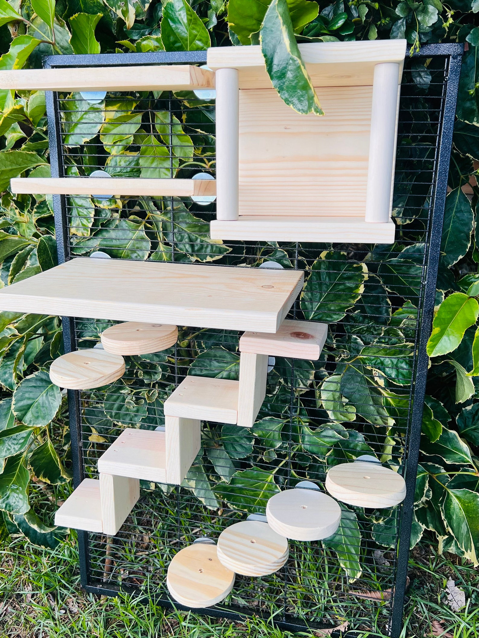 Crazy Critter 11 Pc Kiln Dried Pine Chinchilla//rat//degu//squirrel ...