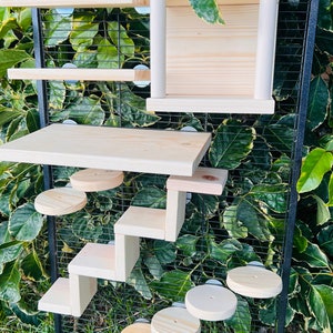 Crazy Critter 11 Pc Kiln Dried Pine Chinchilla//rat//degu//squirrel ...