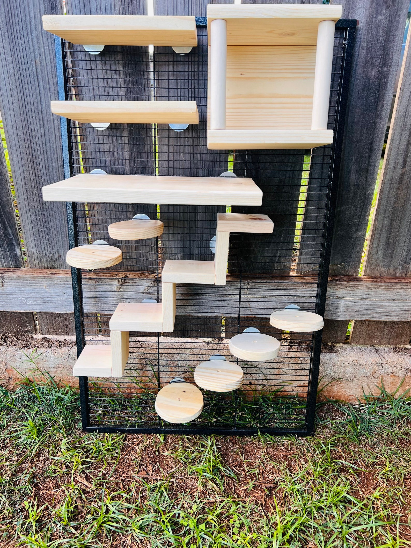 Crazy Critter 11 Pc Kiln Dried Pine Chinchilla//rat//degu//squirrel ...