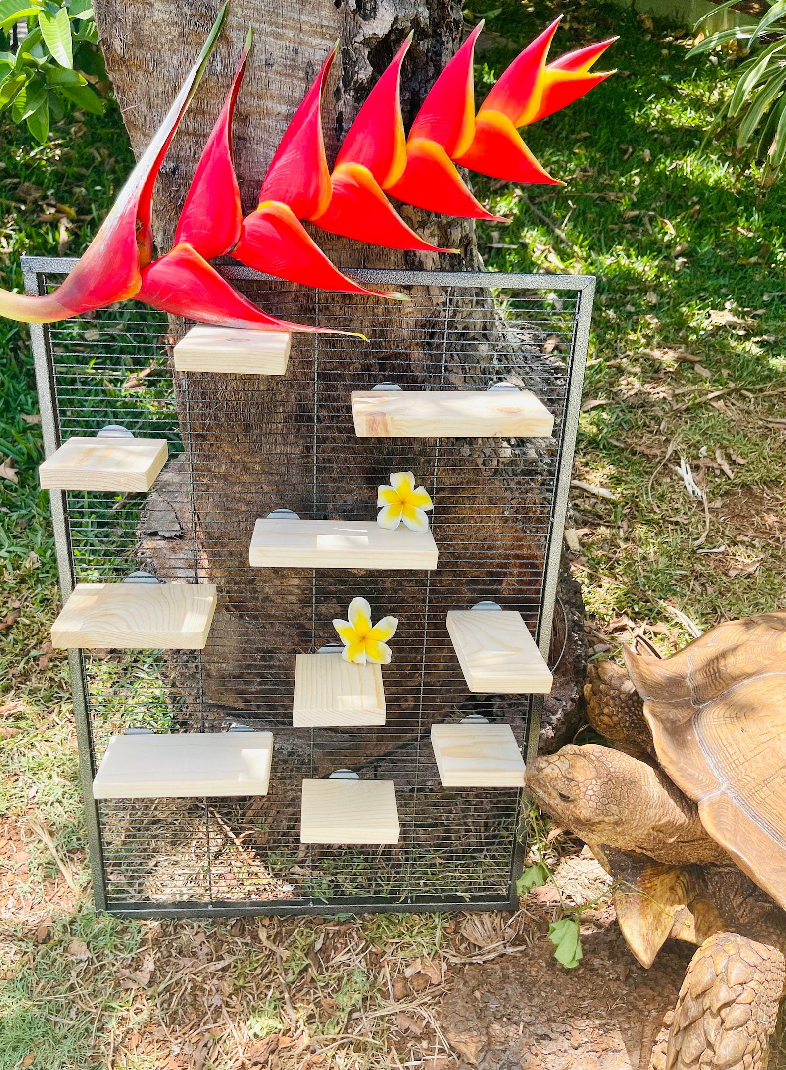 Kiln Dried Pine Ledges/steps Sets of 10 15 20 or 25. for - Etsy