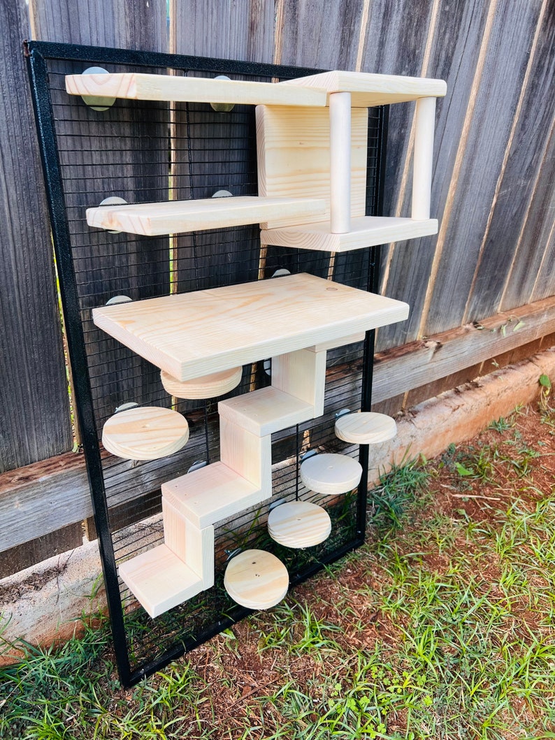 Crazy Critter 11 Pc Kiln Dried Pine - Etsy