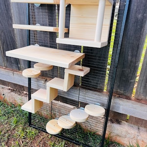 Crazy Critter 11 Pc Kiln Dried Pine Chinchilla//rat//degu//squirrel ...