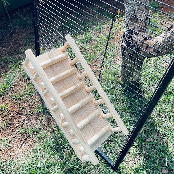 Guinea Pig Ramp - Etsy