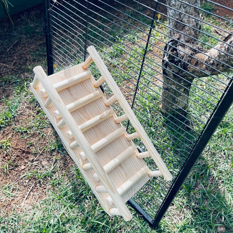 Guinea Pig Ramp - Etsy
