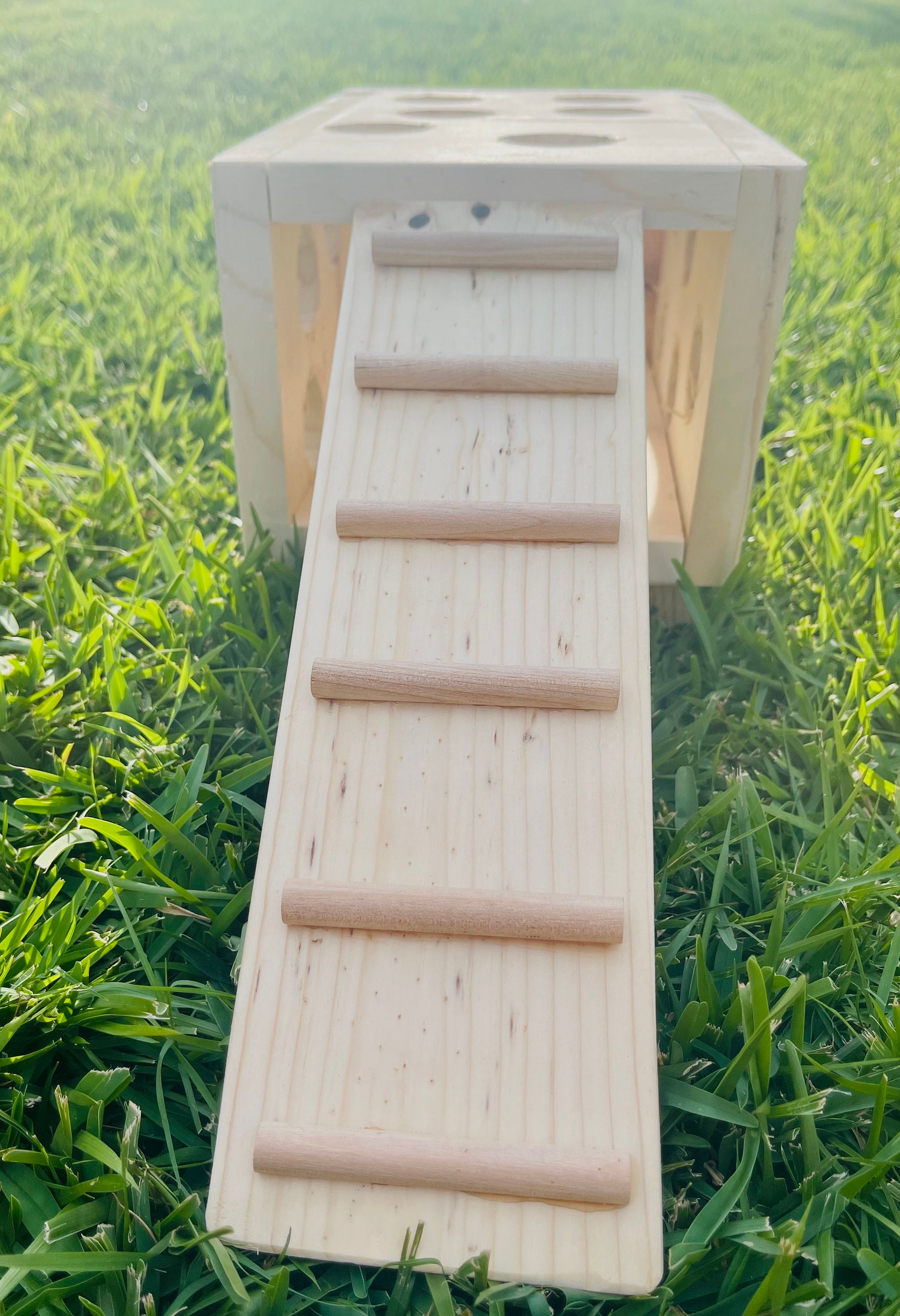 Kiln Dried Pine Wooden Ramp for Guinea Pigs Birds - Etsy